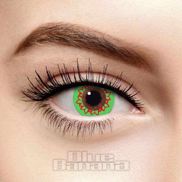Green Christmas Wreath Coloured Contact Lenses (30 Day) | Coloured Contacts