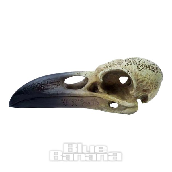 Alchemy Omega Raven Skull Replica, Gothic Figurine