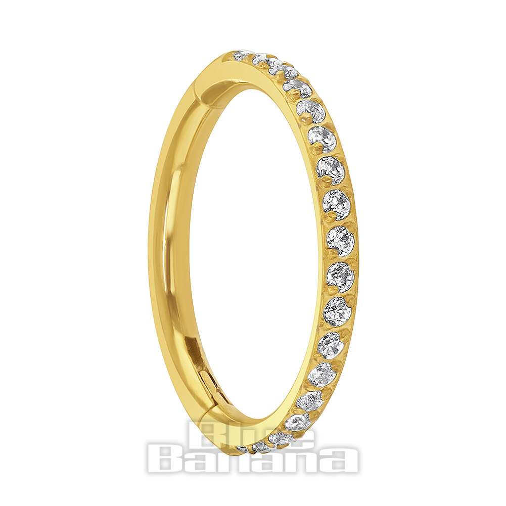 Blue Banana Plasma Gold 1.0 x 8mm Eternity Ring Hinged Segment Ring ...