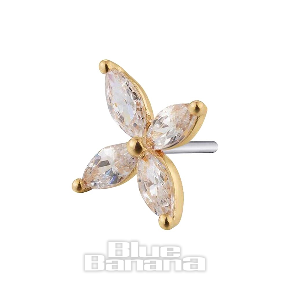 Blue Banana 14K Gold Cubic Zirconia Star Threadless Top (Gold) | Blue ...