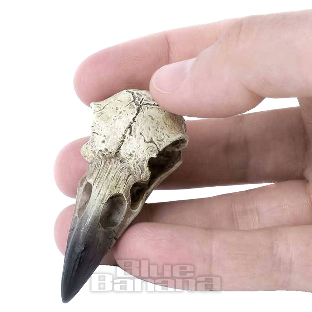 Alchemy Small Raven Skull Replica Ornament, Gothic Homewear