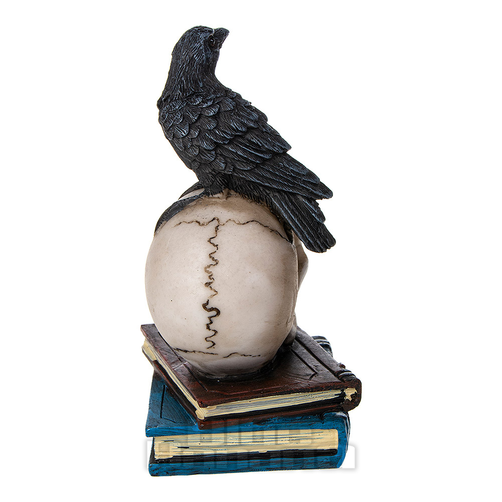 Nemesis Now Ravens Spell Skull Ornament | Blue Banana UK