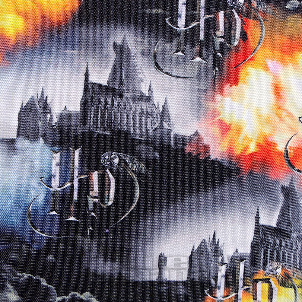 Hype Hogwarts Lunchbox | Harry Potter Merchandise